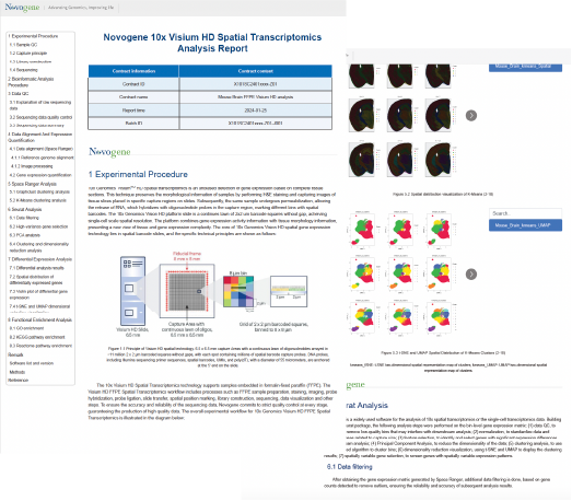 Novogene Presales for Single-Cell Spatial Gene Expression with Visium HD!